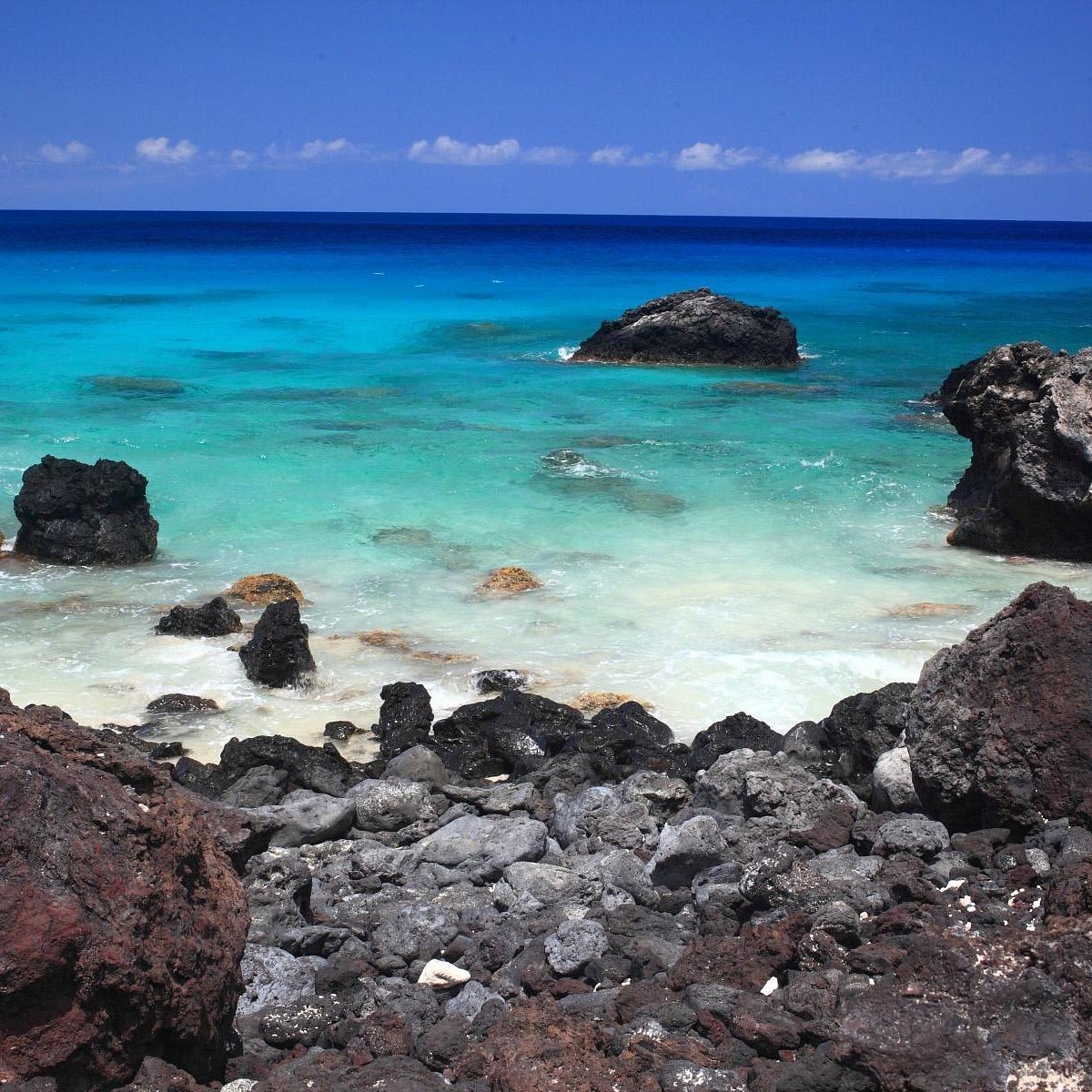White Sand Beach (Kailua-Kona) : 2022 Ce qu'il faut savoir pour votre ... White Sand Beach (Kailua-Kona) : 2022 Ce qu'il faut savoir pour votre ...