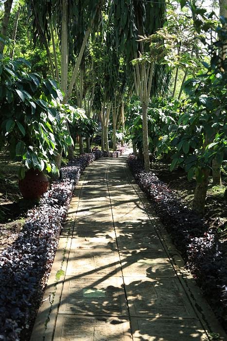Horison Resort Tlogo Semarang Salatiga Java Hotel Reviews Photos
