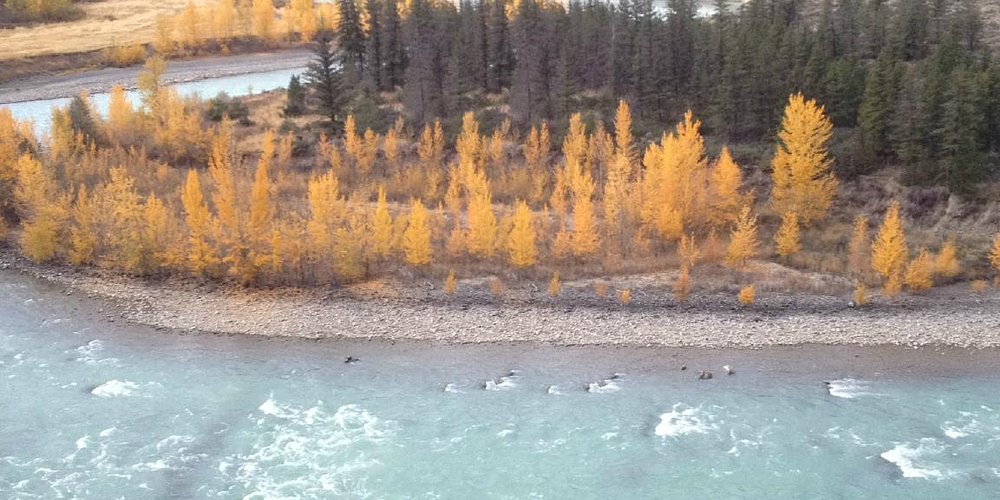 Chilcotin District Tourism 2023 Best Of Chilcotin District Tripadvisor