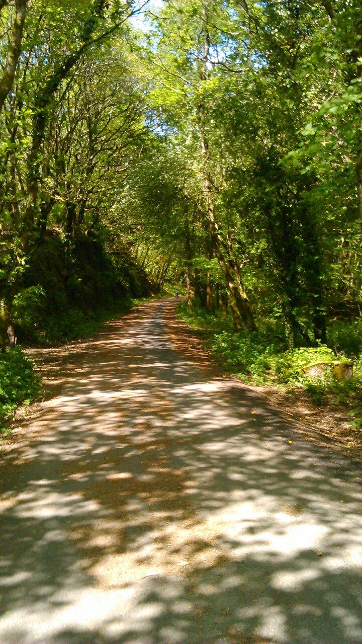 PLYM VALLEY CYCLE TRAIL 2025 All You Need to Know BEFORE You Go with Photos