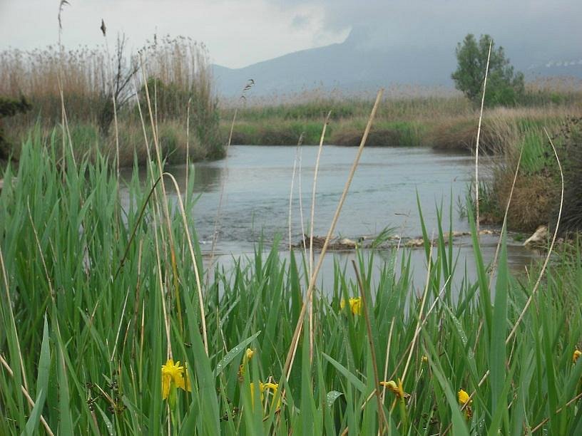 Parque Natural del Marjal de Pego-Oliva - Aktuelle 2021 - Lohnt es sich ... Parque Natural del Marjal de Pego-Oliva - Aktuelle 2021 - Lohnt es sich ...
