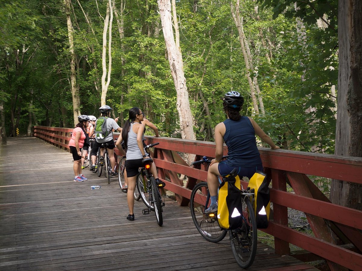 Escape Bicycle Tours And Rentals All You Need To Know Before You Go 2025
