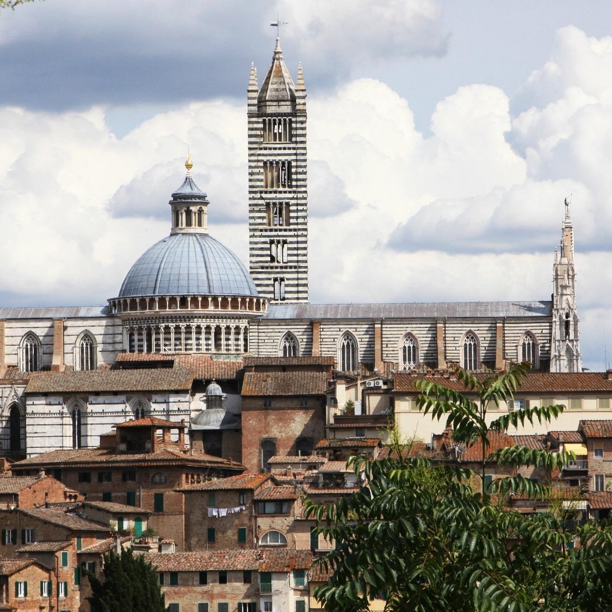 TOUR GUIDE SIENA AND PROVINCE (Sienne): Ce qu'il faut savoir pour votre ... TOUR GUIDE SIENA AND PROVINCE (Sienne): Ce qu'il faut savoir pour votre ...