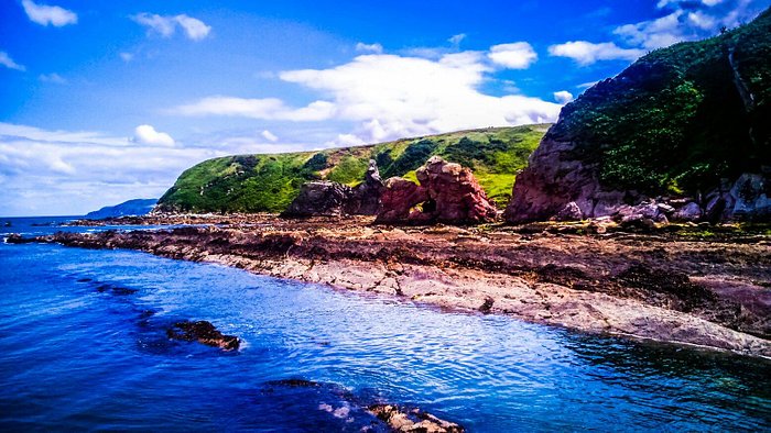 Mosspaul Inn Hotel Reviews Tevioyhead Scotland