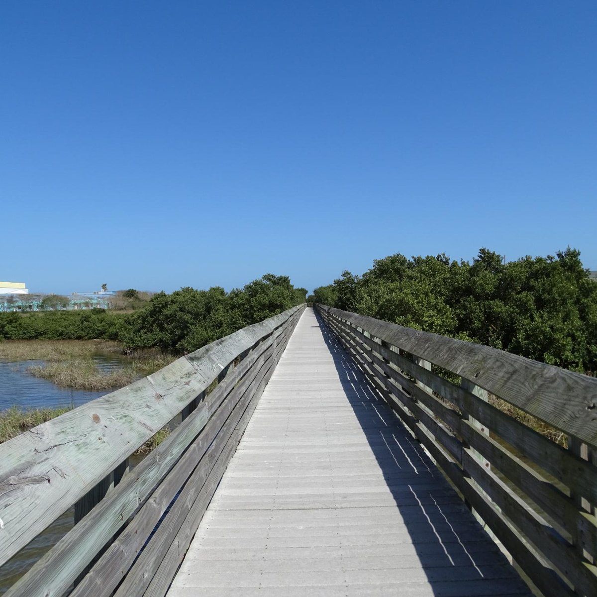 Laguna Madre Nature Trail South Padre Island Lohnt Es Sich