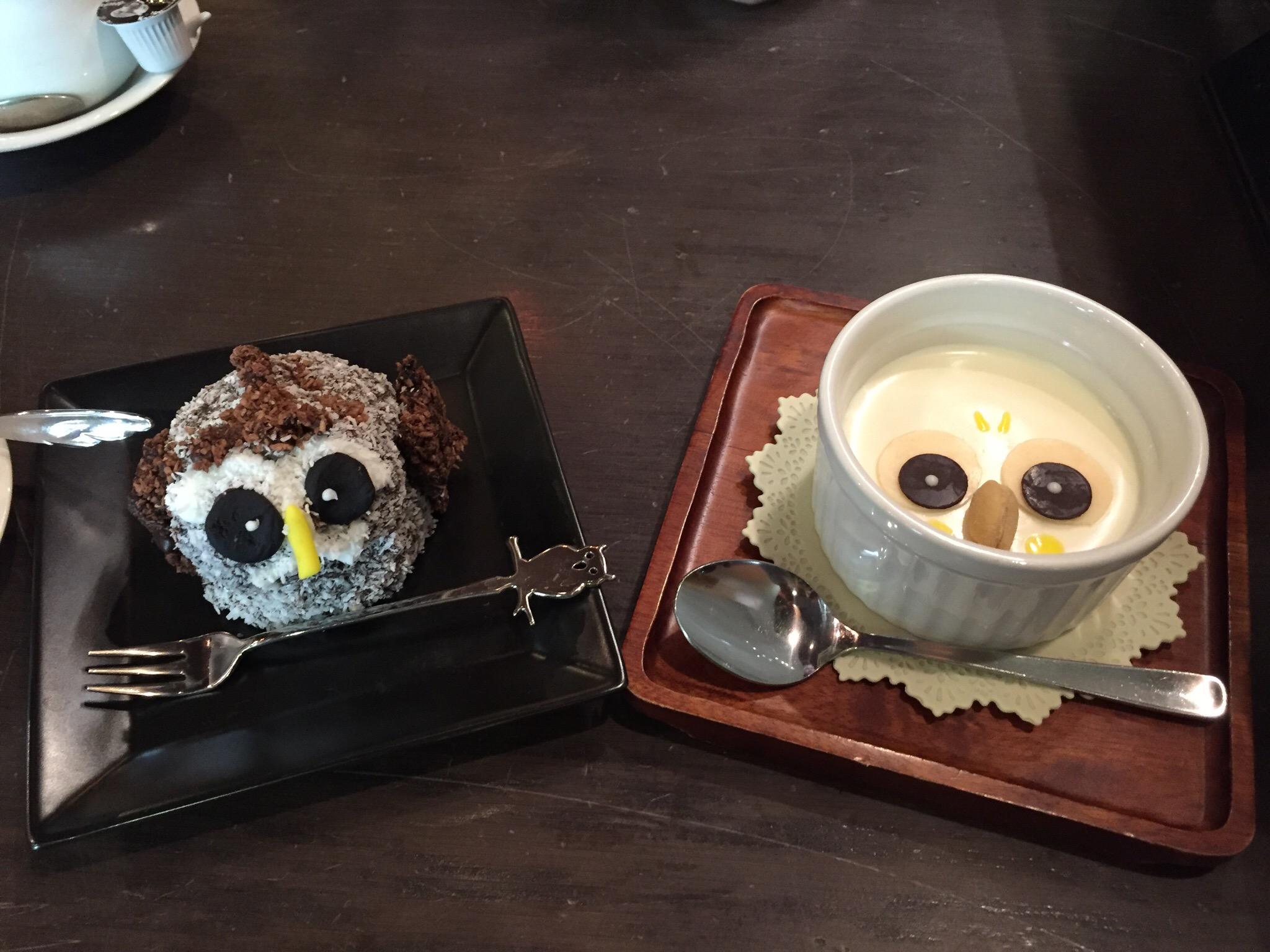 Owl coffee store