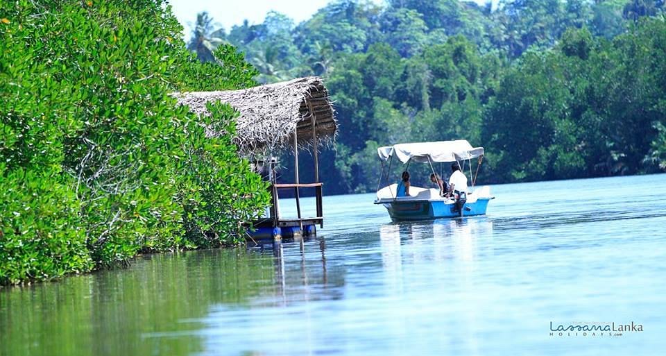 Lassana Lanka Holiday Bentota All You Need To Know Before You Go