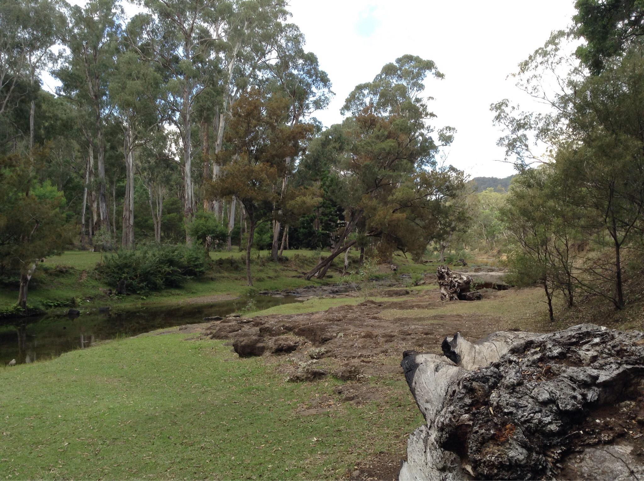 GORDON COUNTRY Updated 2024 Campground Reviews Goomburra Australia