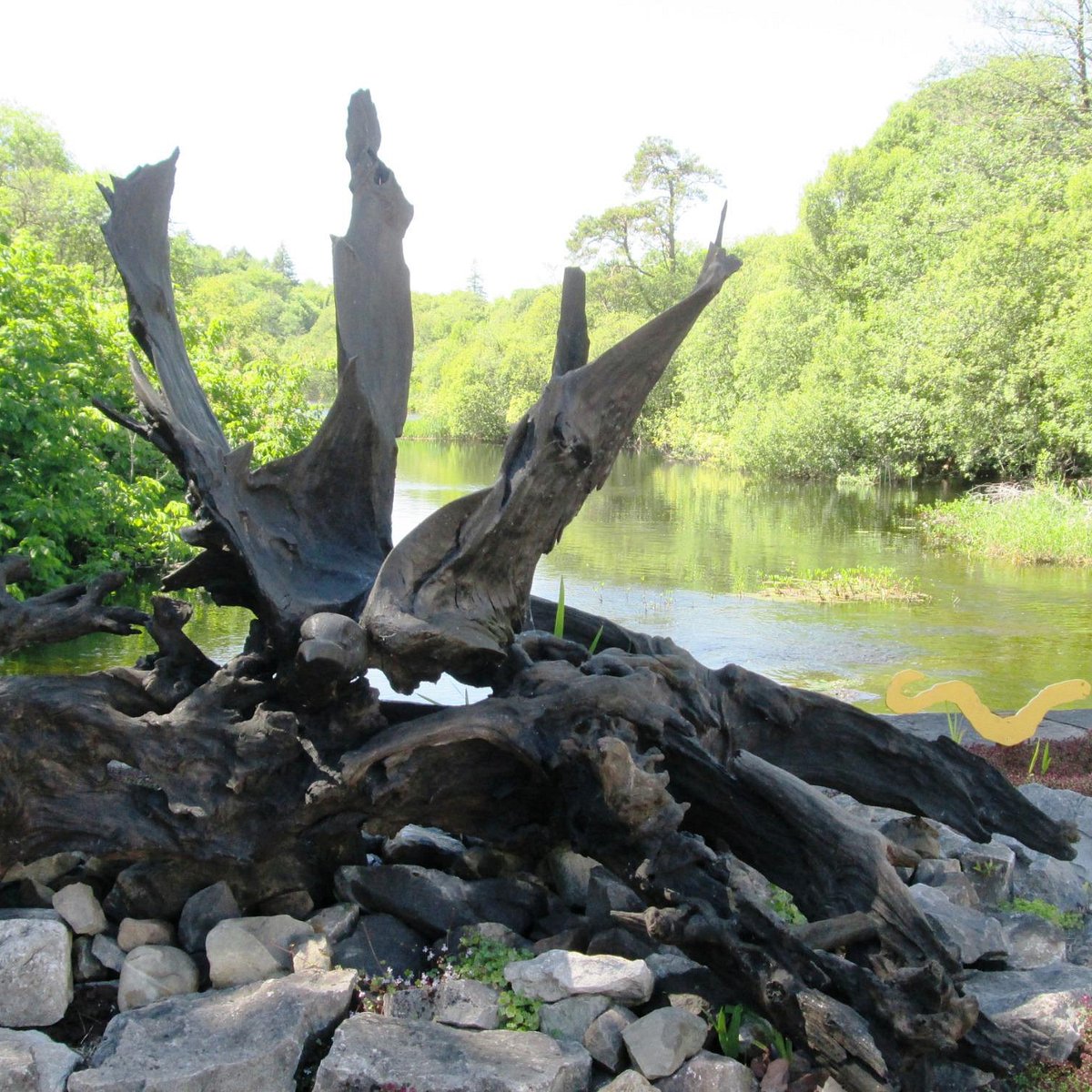 Bog Oak Sculpture (Cong) - 2022 Alles wat u moet weten VOORDAT je gaat ... Bog Oak Sculpture (Cong) - 2022 Alles wat u moet weten VOORDAT je gaat ...