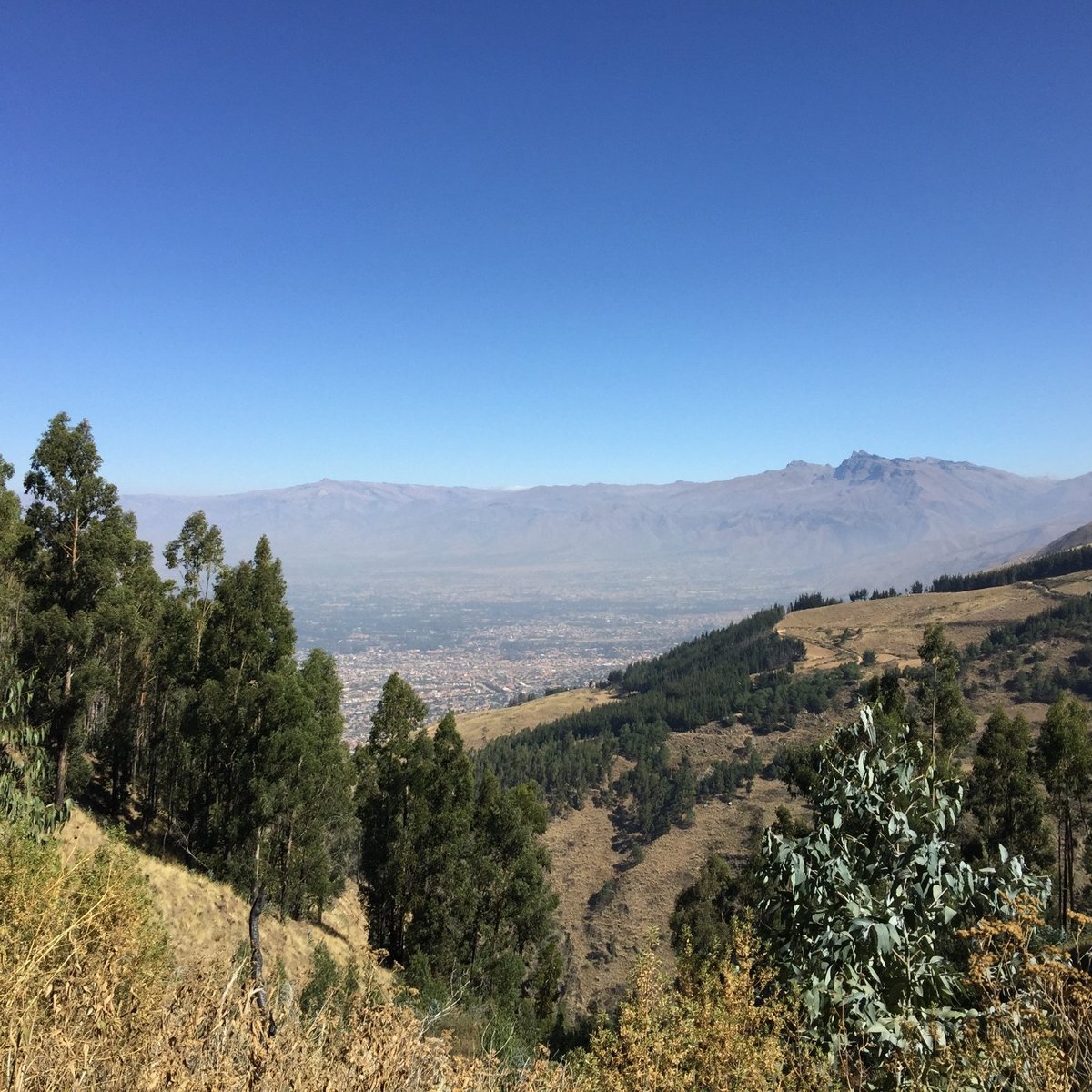 Parque Nacional Tunari Cochabamba 2022 Qué Saber Antes De Ir Lo