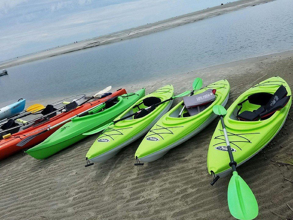 Glass Bottom Kayak Tours North Myrtle Beach 2022 Lo Que Se Debe