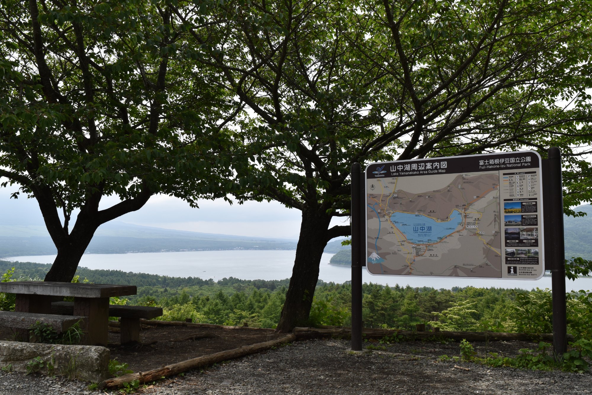 Panoramic Viewing Platform (2025) - All You Need to Know Panoramic Viewing Platform (2025) - All You Need to Know