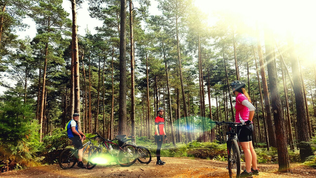 SWINLEY FOREST BIKE TRAILS 2025 All You Need to Know BEFORE You Go with Reviews