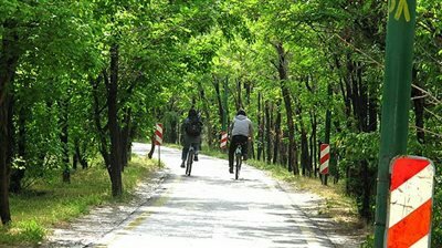 Chitgar Forest Park All You Need to Know BEFORE You Go 2025