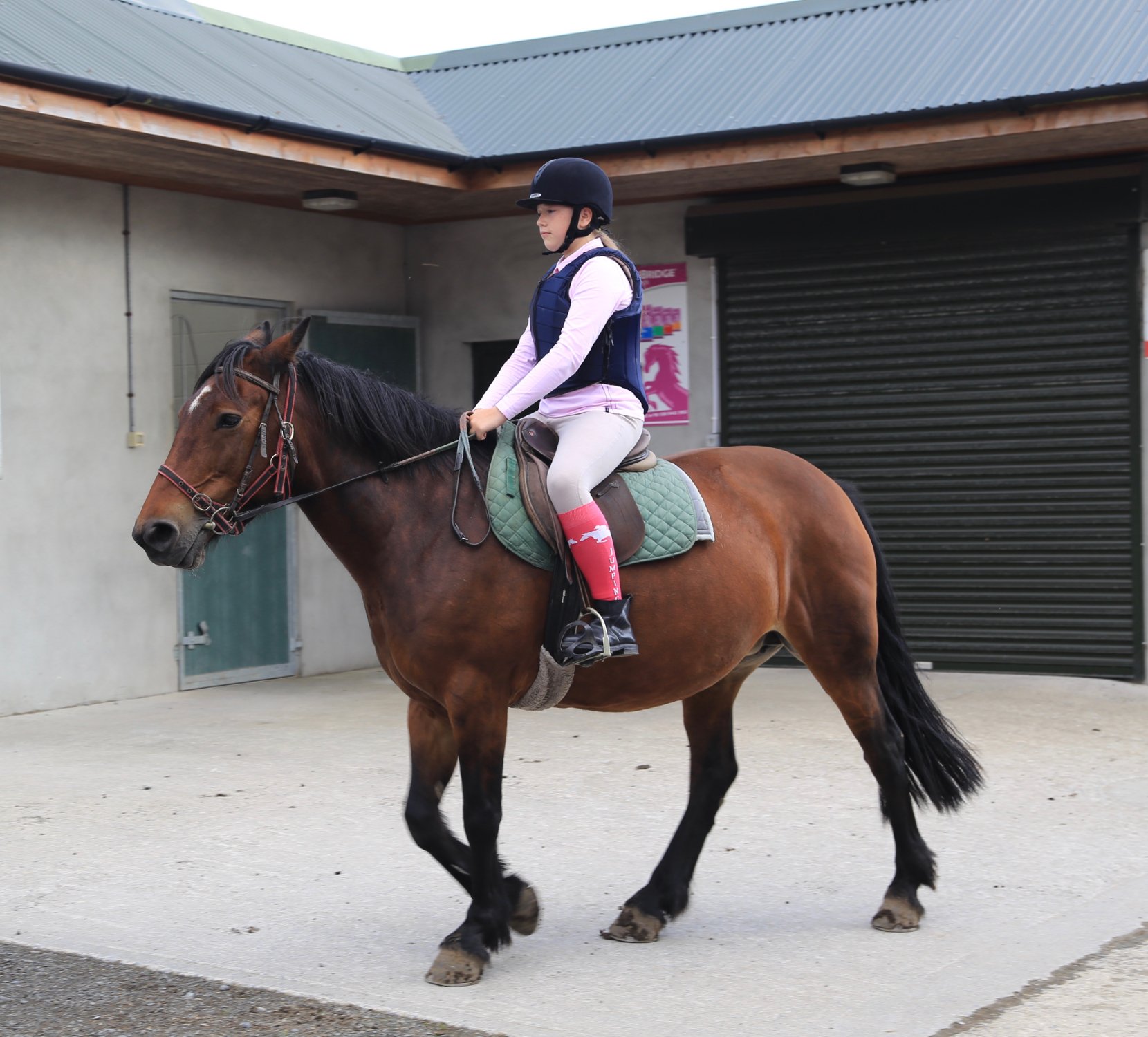 Pony trekking near me store