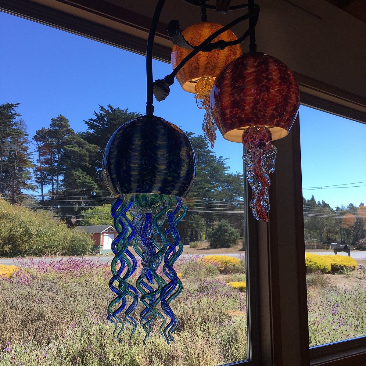 Glass Fire Art Glass Gallery Fort Bragg What To Know Before You Go