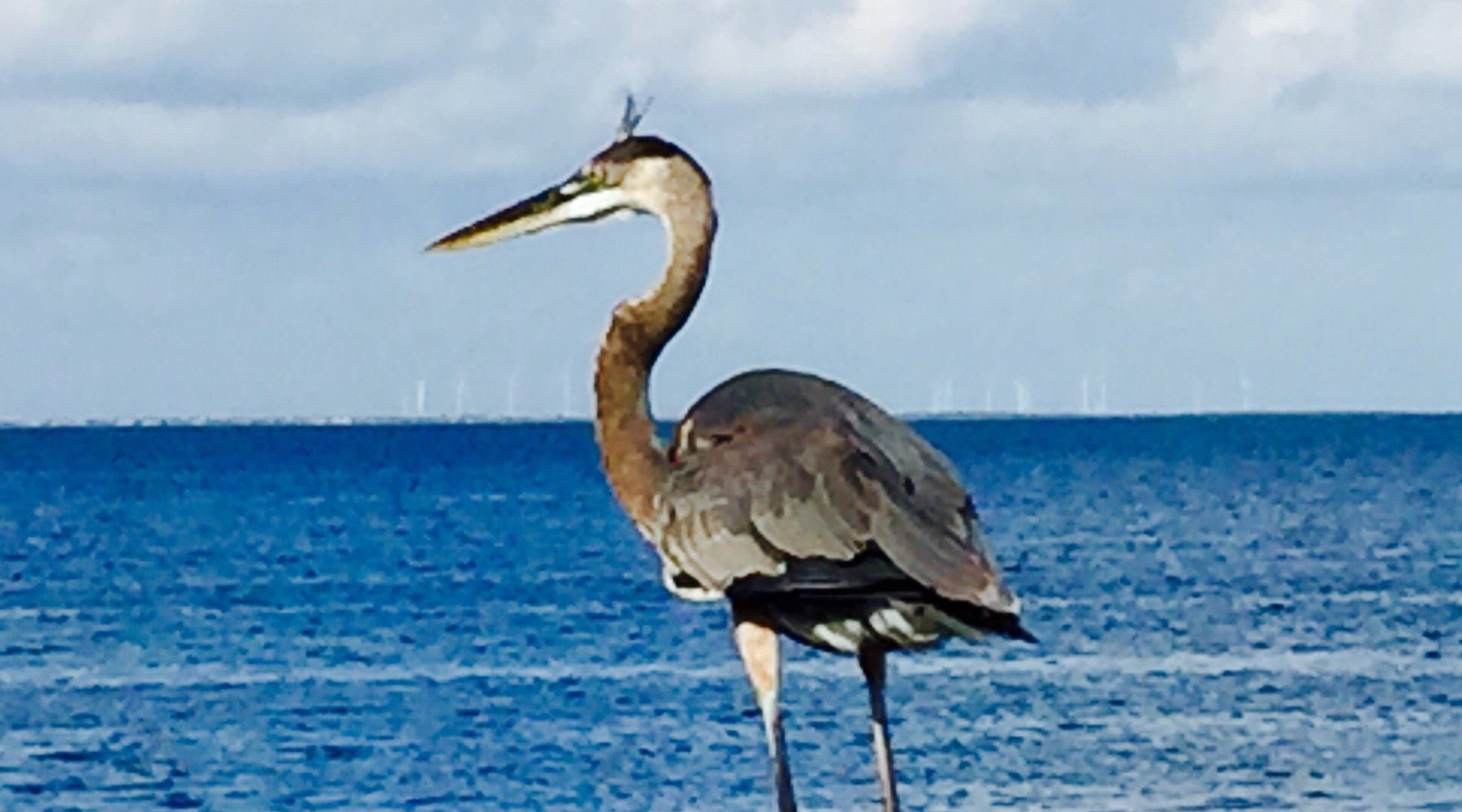 Laguna Madre Nature Trail 2025 All You Need To Know Before You Go