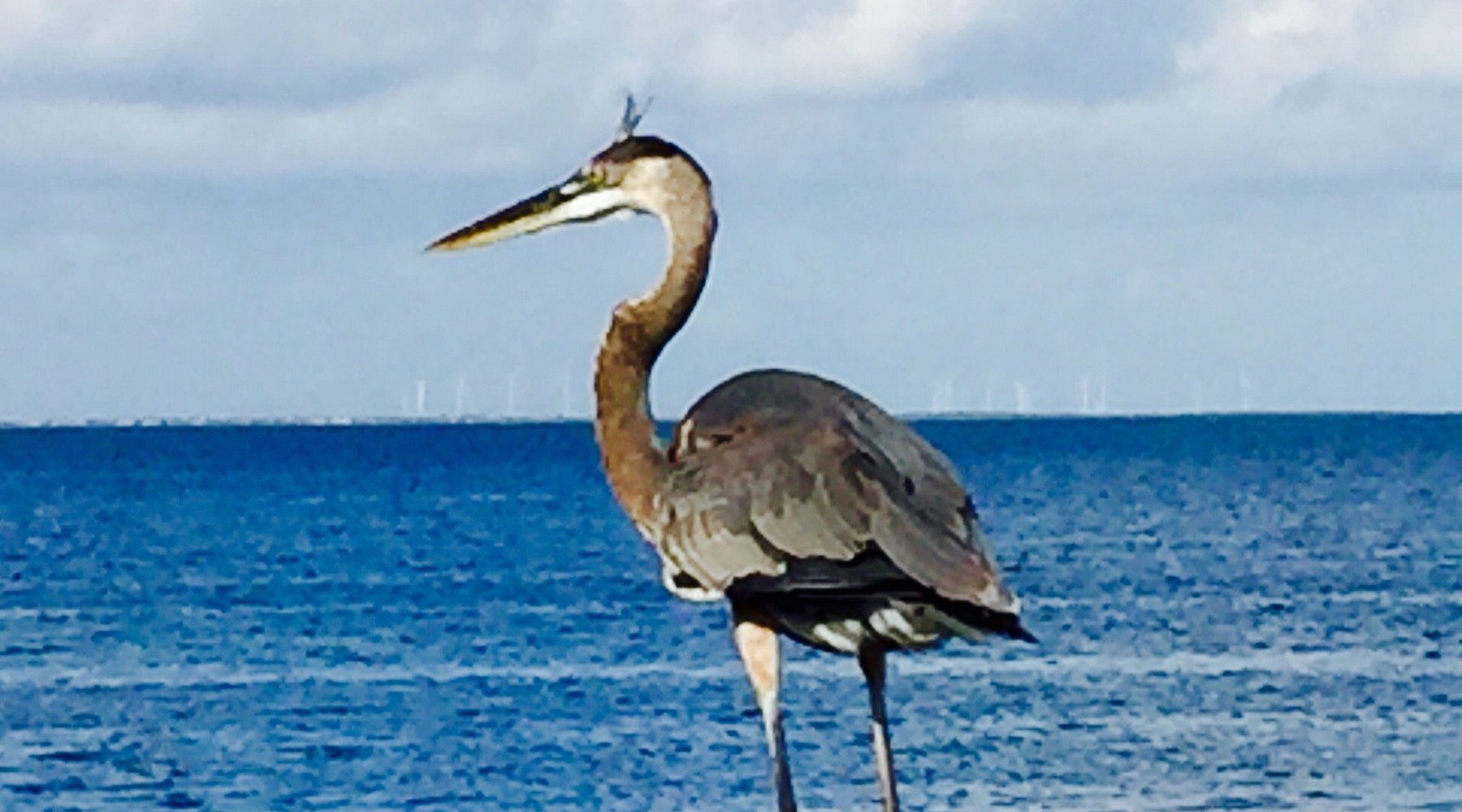 Laguna Madre Nature Trail 2025 All You Need To Know Before You Go