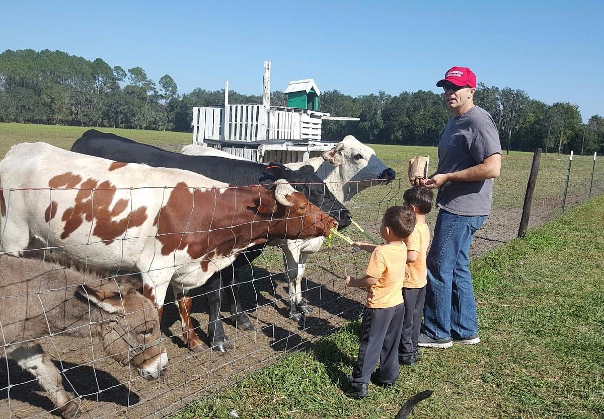 Rype & Readi Farm Market (2025) - All You Need to Know BEFORE You Go ... Rype & Readi Farm Market (2025) - All You Need to Know BEFORE You Go ...