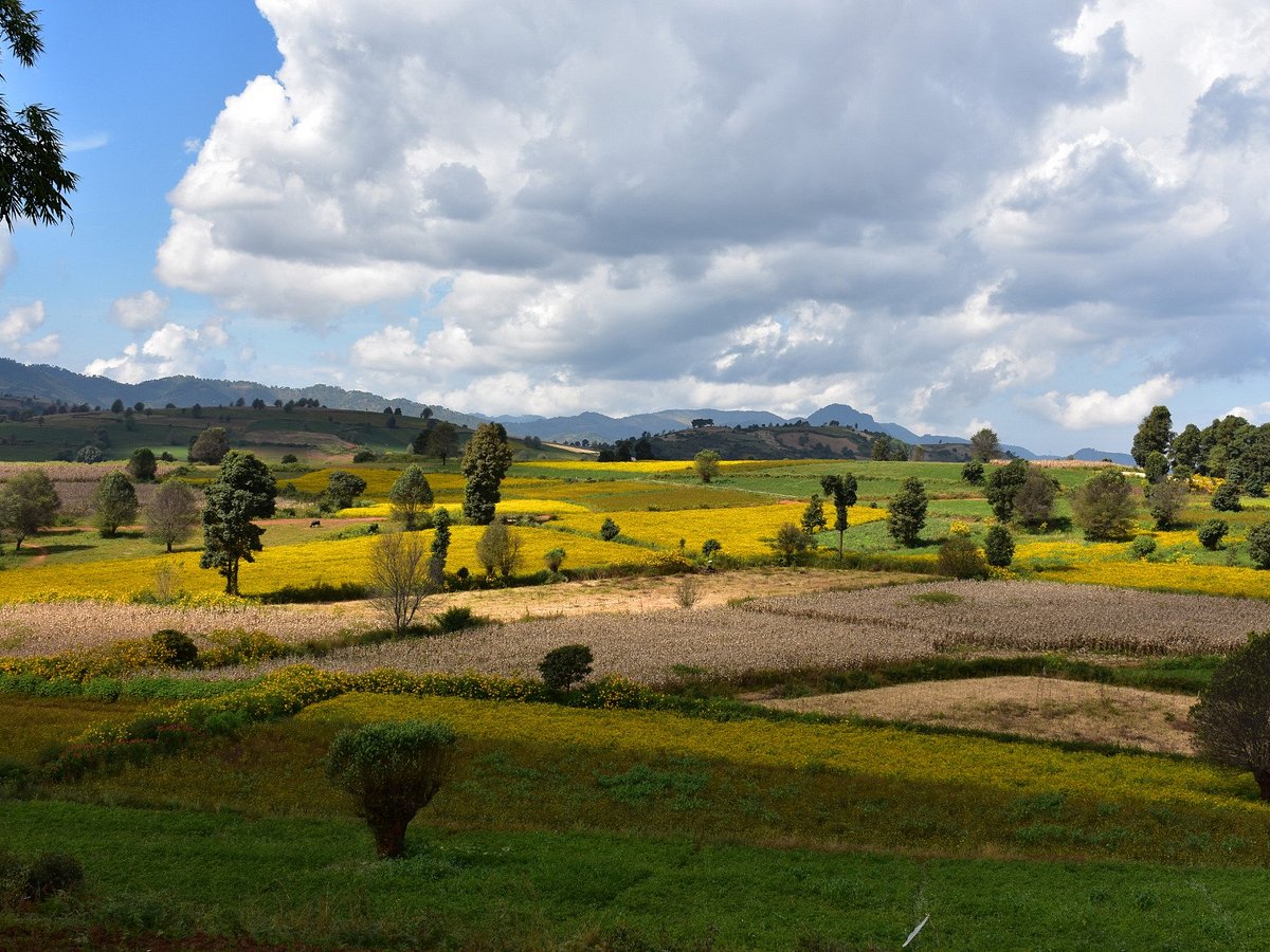 Ko Min Kalaw Trekking Guide Ce Quil Faut Savoir Pour Votre Visite Avec Critiques