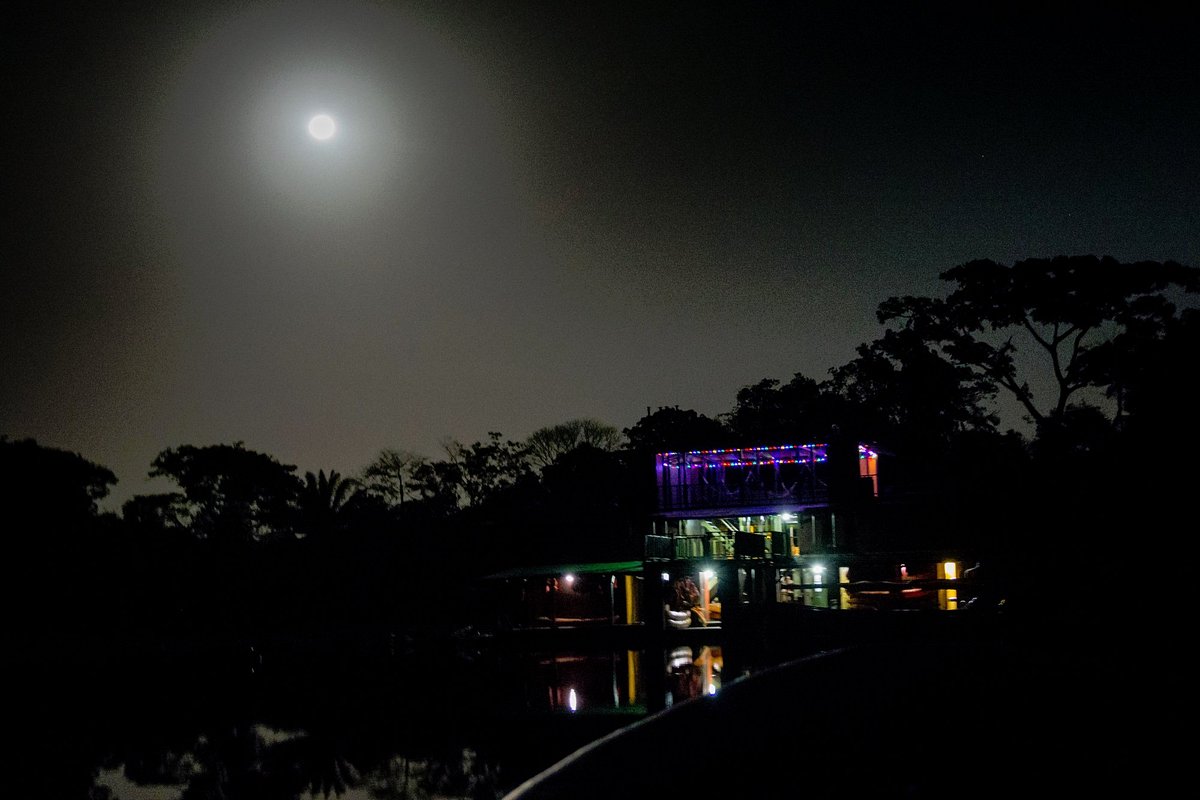 Jungle Land Panama Floating Lo Gamboa Omdömen Tripadvisor