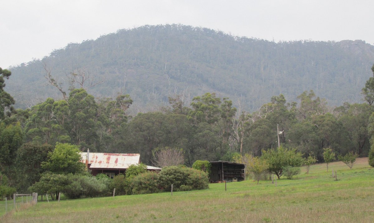 Thorn's Mountain Retreats - รีวิวใหม่ล่าสุดและภาพถ่ายจริงจากนักท่อง ...