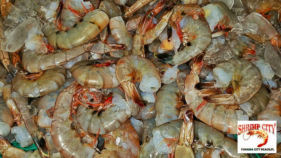 Shrimp city store