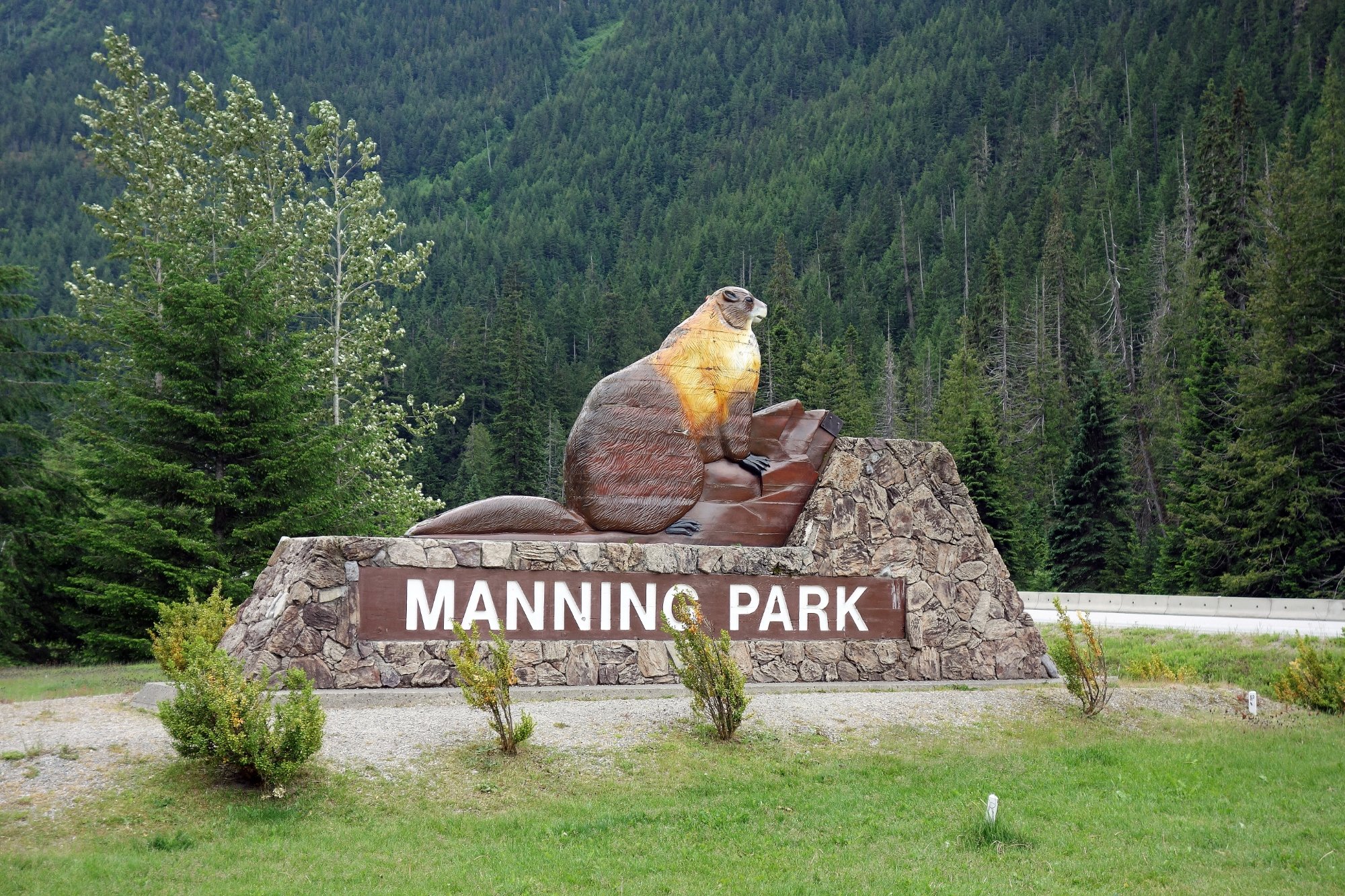 Manning park camping store