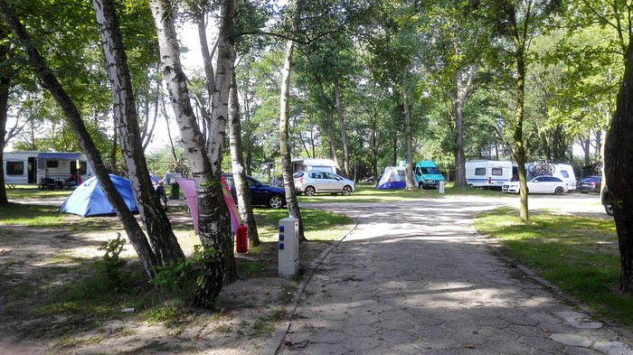 Maultier Durchgehen Karu camping sopot systematisch Kneten Idiom Maultier Durchgehen Karu camping sopot systematisch Kneten Idiom