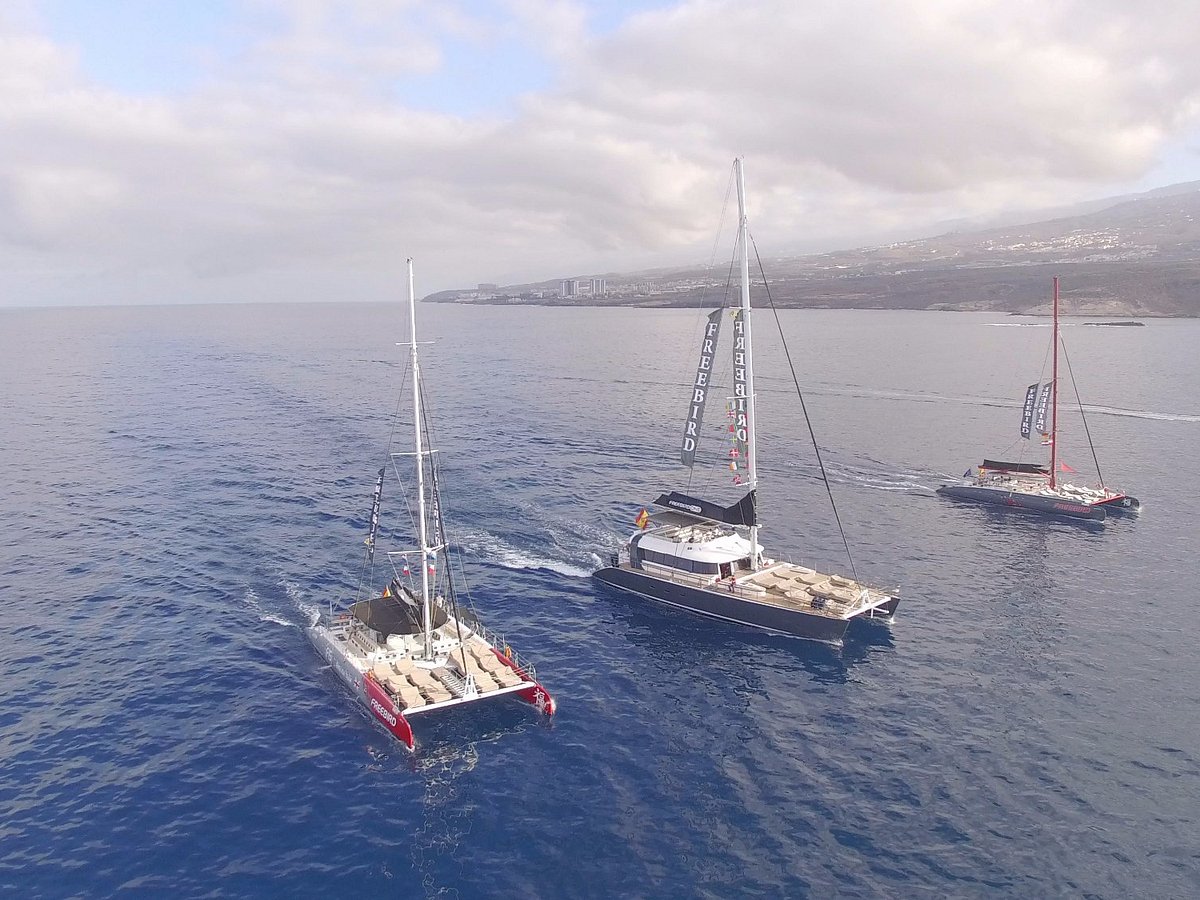 Freebird Catamaran Playa De Las Americas All You Need To Know