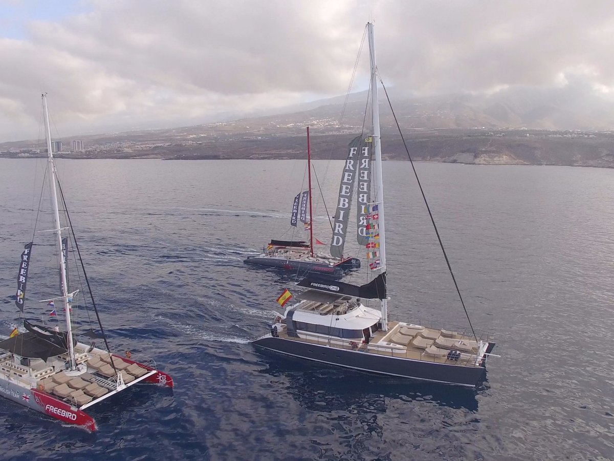 Freebird Catamaran Playa De Las Americas All You Need To Know