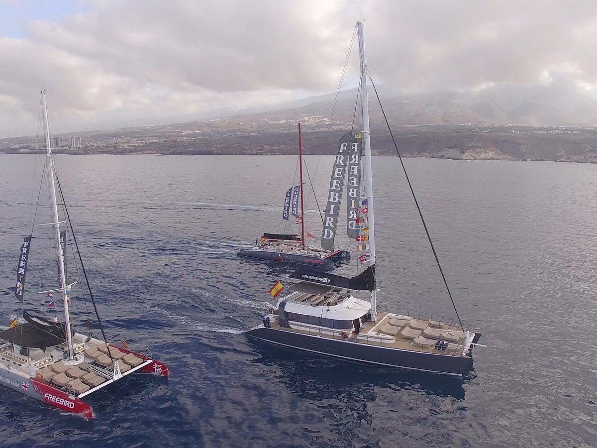 Freebird Catamaran Playa De Las Americas All You Need To Know