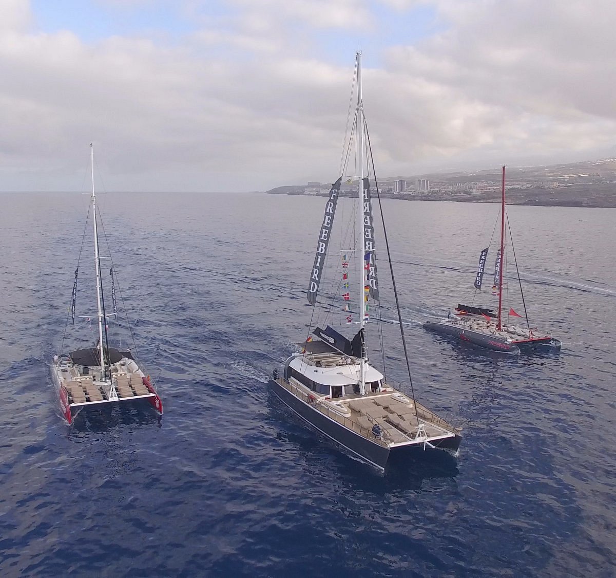 Freebird Catamaran Playa De Las Americas All You Need To Know
