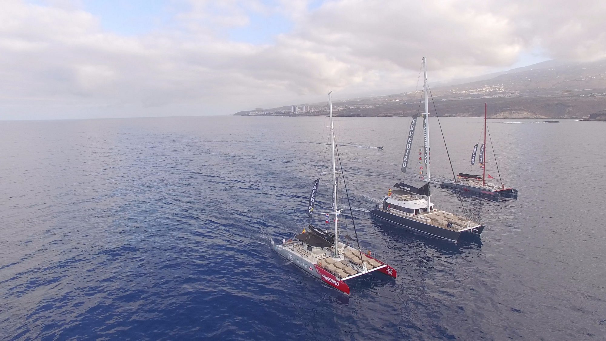 Freebird Catamaran Playa De Las Americas All You Need To Know