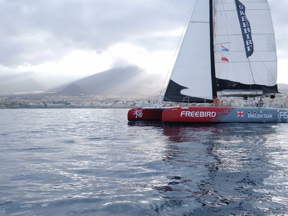Freebird Catamaran Playa De Las Americas All You Need To Know