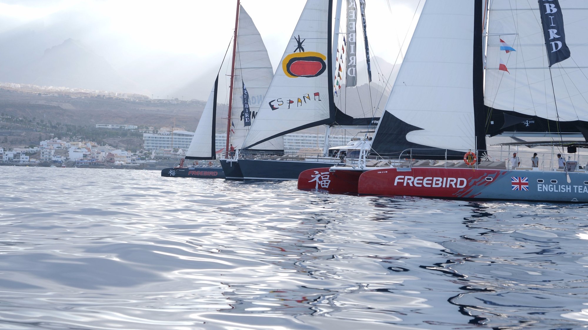 Freebird Catamaran Playa De Las Americas 2023 Alles Wat U Moet