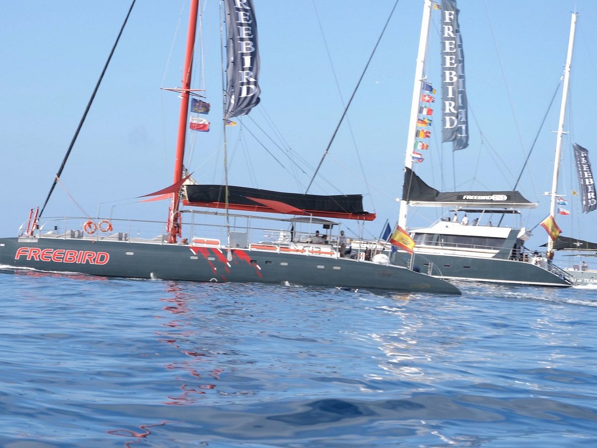 Freebird Catamaran Playa De Las Americas All You Need To Know