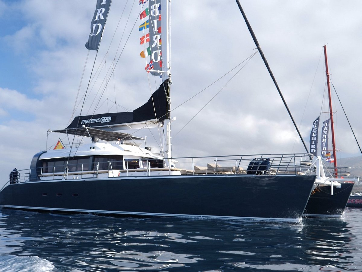 Freebird Catamaran Playa De Las Americas All You Need To Know