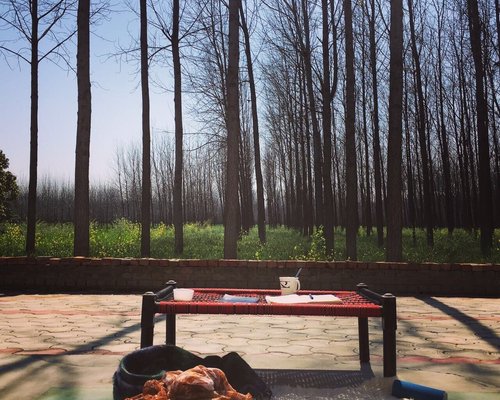 Farm Stay Amritsar Farmhouse Reviews India