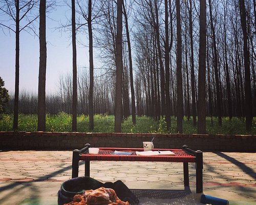 Farm Stay Amritsar Farmhouse Reviews India