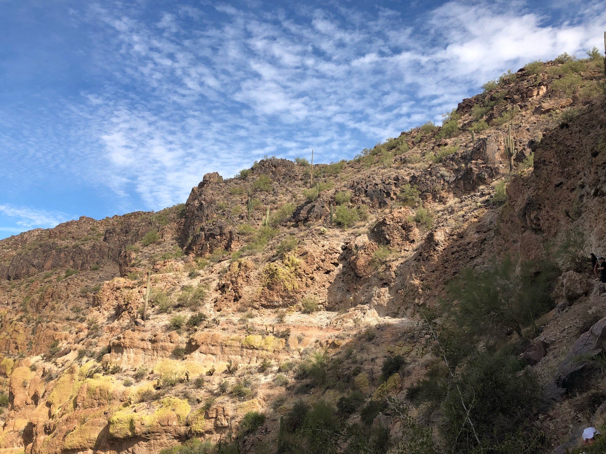 Usery mountain store
