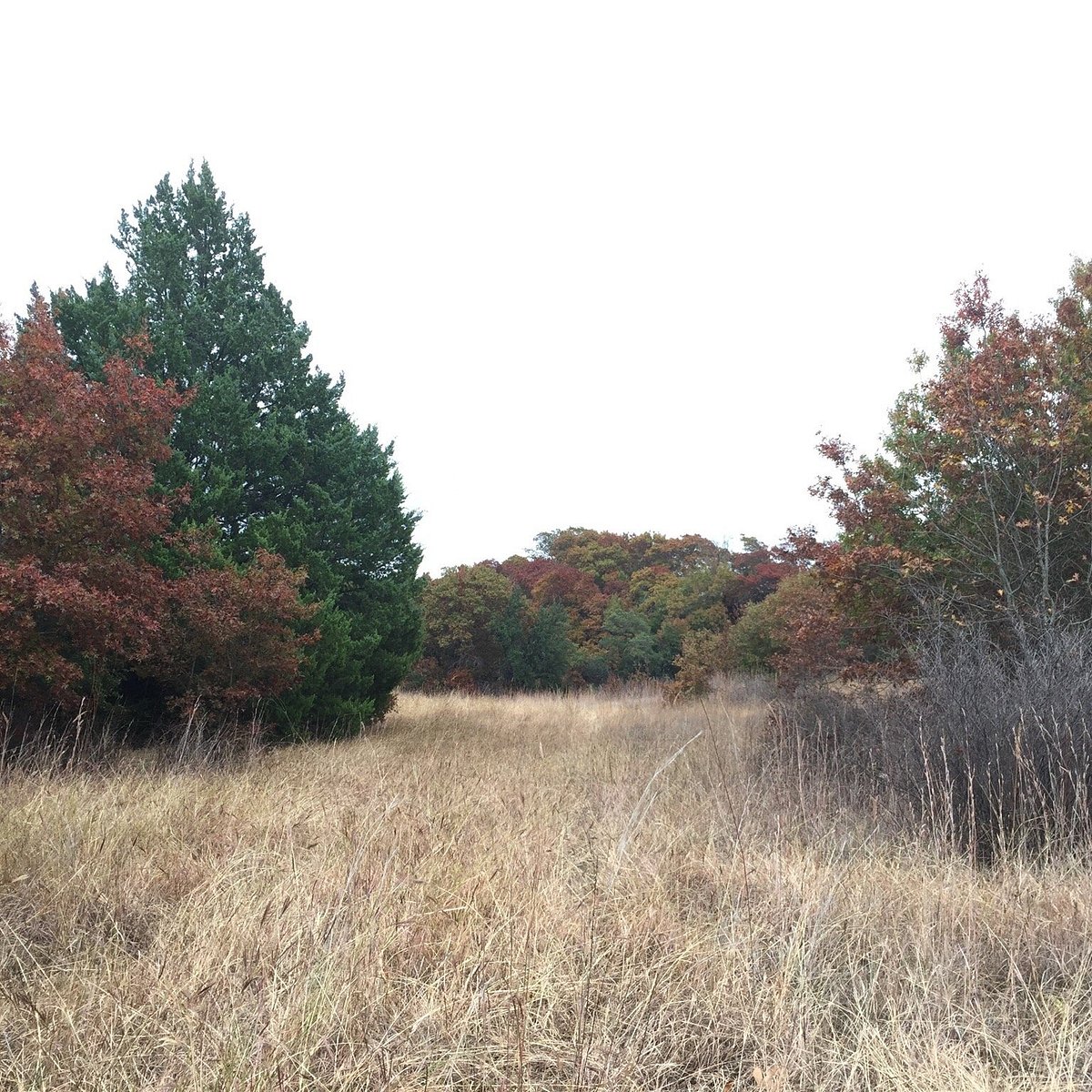 Lbj National Grasslands 2025 All You Need To Know Before You Go With Reviews