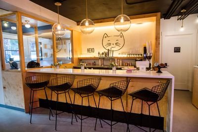 Neko cat cafe store