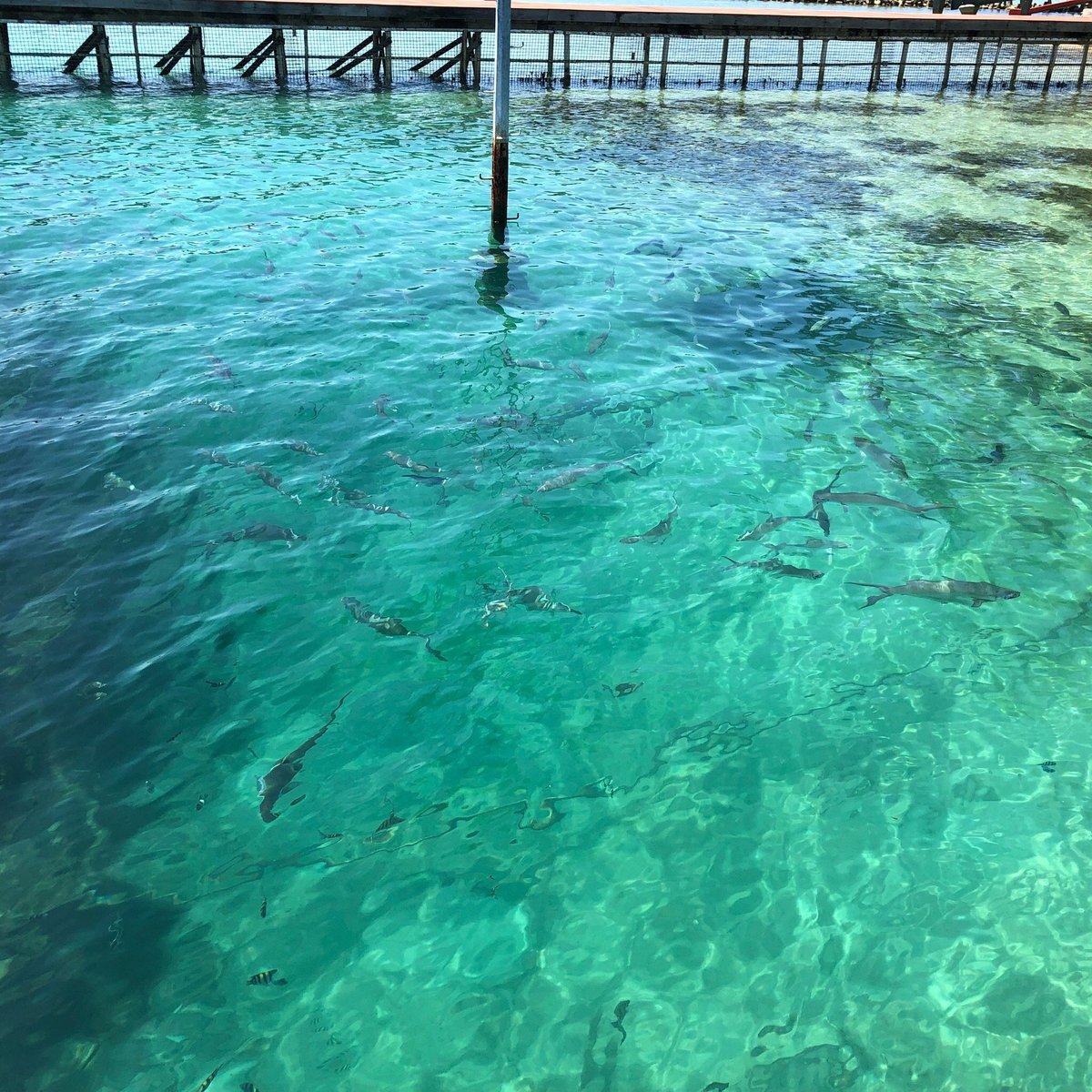 Putri Island Resort Hotel Reviews Jakarta Indonesia