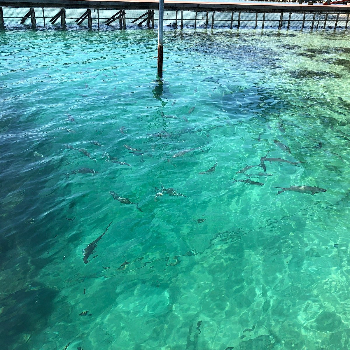 Putri Island Resort Hotel Reviews Jakarta Indonesia