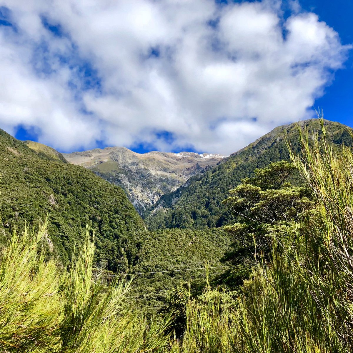 Arthurs Pass Walking Track 2025 All You Should Know Before You Go W