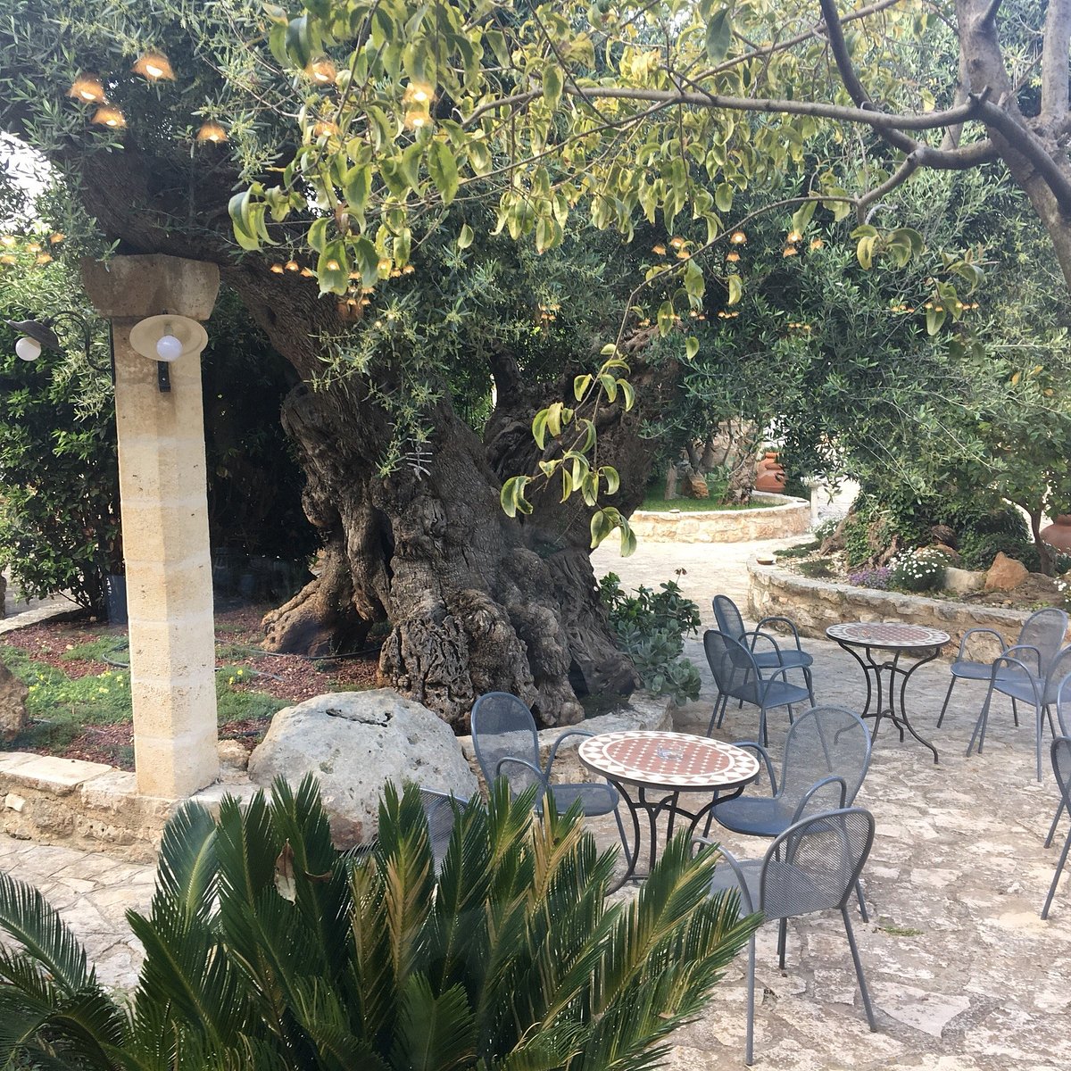 Masseria Torrepietra Updated 2024 Prices And Hotel Reviews Monopoli