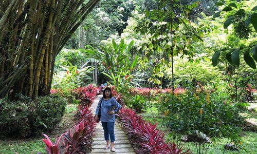 2024 年菲律賓達沃的旅遊景點、旅遊指南、行程 Tripadvisor