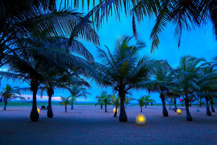 Pegasus Reef Hotel Pool Pictures And Reviews Tripadvisor