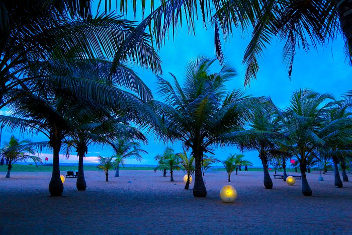 Pegasus Reef Hotel Pool Pictures And Reviews Tripadvisor